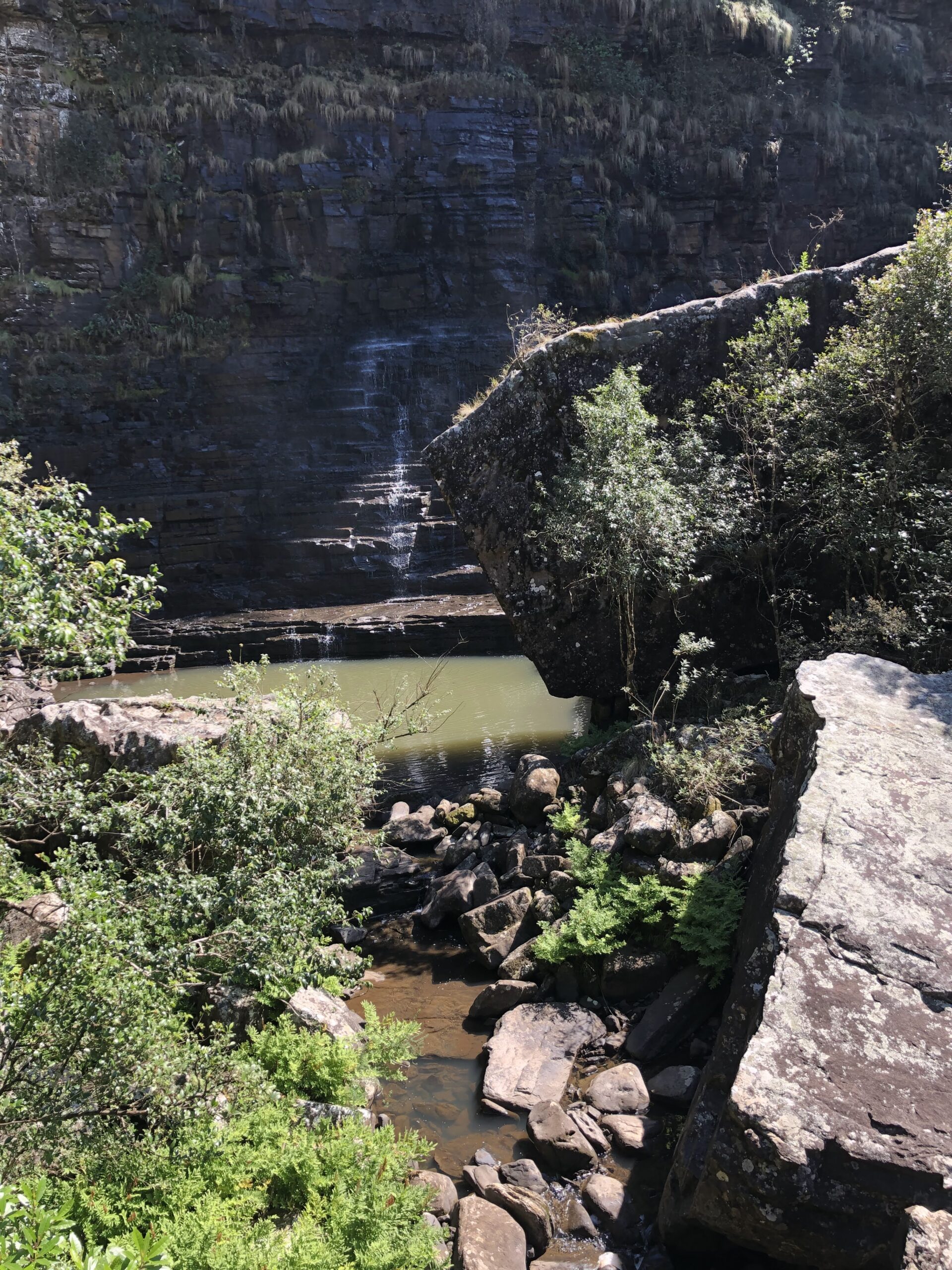 Graskop Gorge Lift Co (Graskop, South Africa)